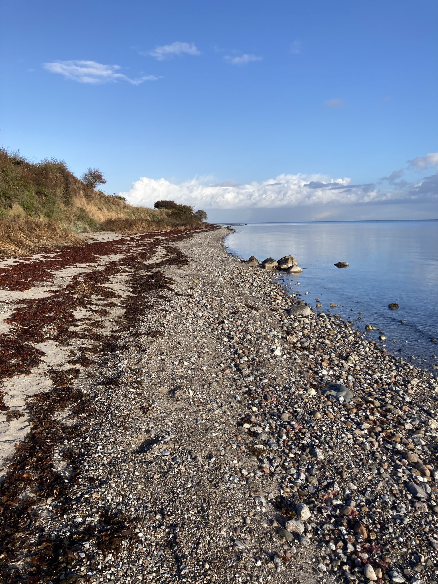 Als Ultra 2025 - d. 4. oktober 2025. Et Trailløb og Ultraløb på Als