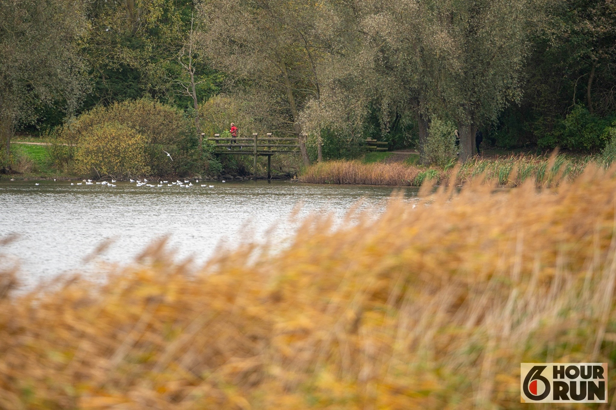 ALOT 6 Hour Run 2026 - d. 31. oktober 2026. Et Timeløb og Ultraløb ved ...