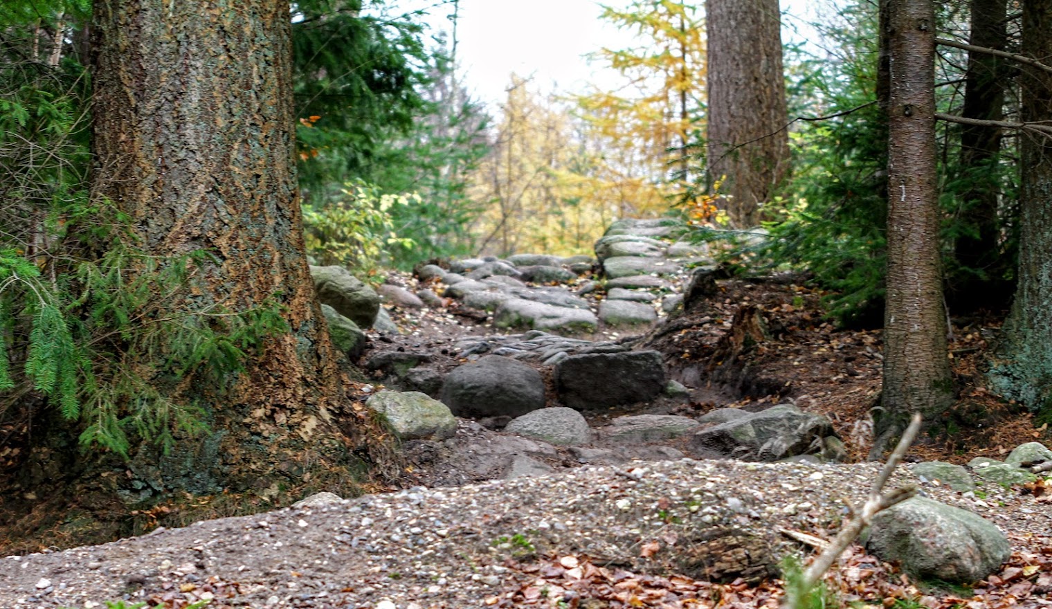 Soul Trail Rude Skov 2023 - d. 11. november 2023. Et Trailløb ved Holte