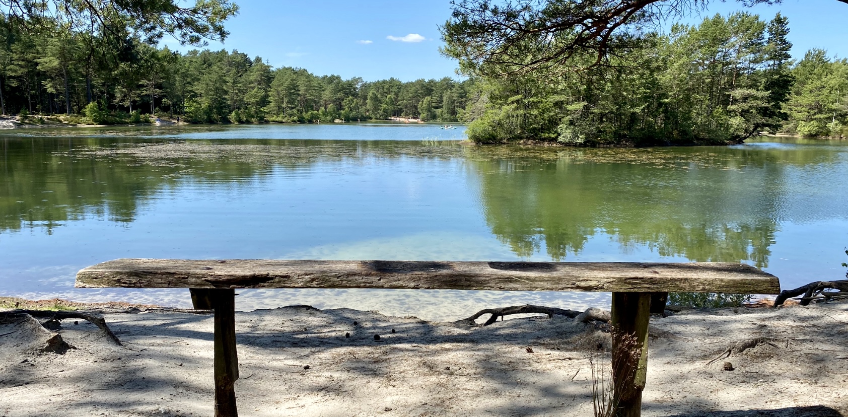 Løbsinformation til Wayout Backyard Ultra 2024