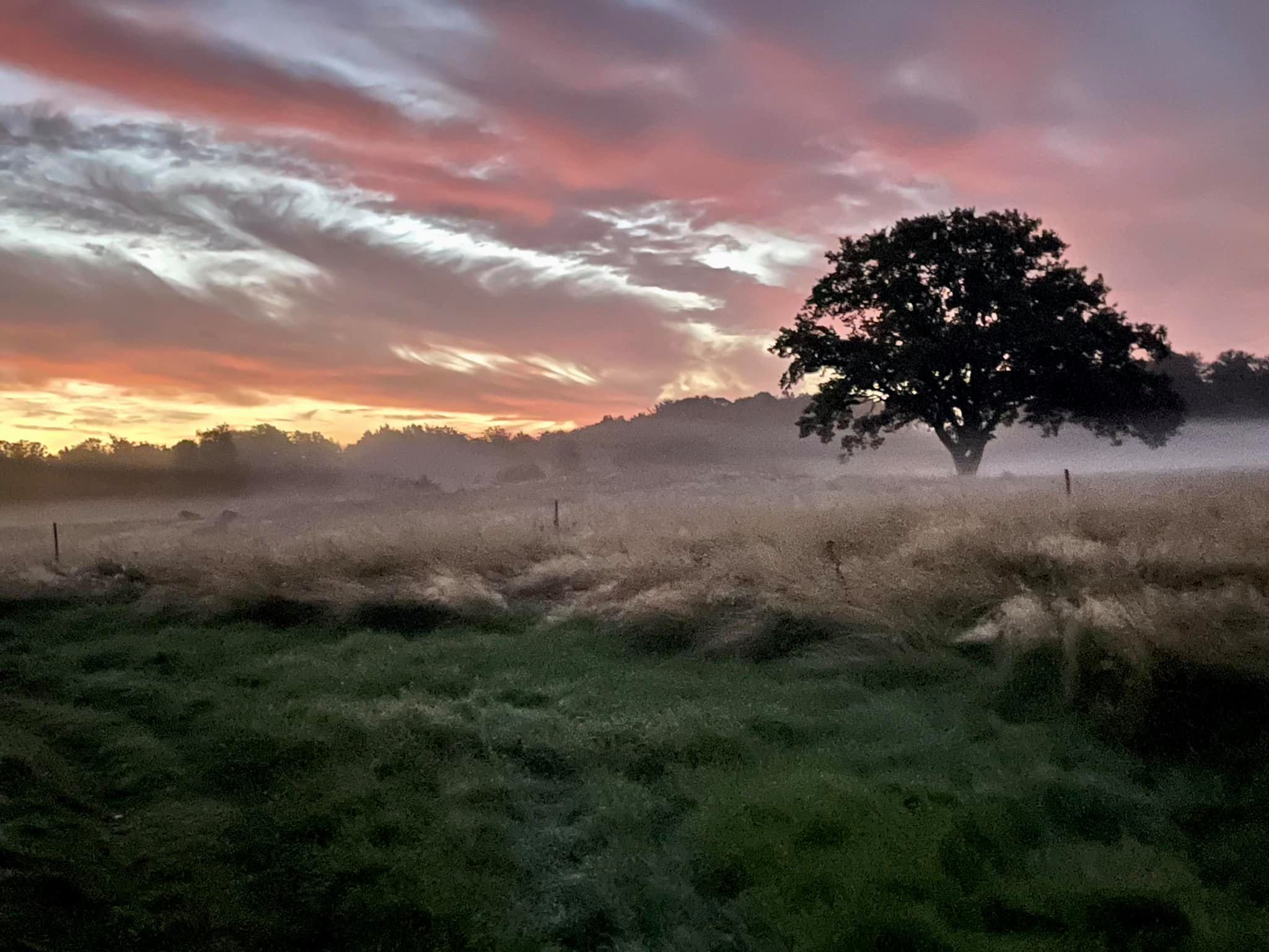 GUUT Summer Edition 2025 - d. 13. september 2025. Et Ultraløb og ...