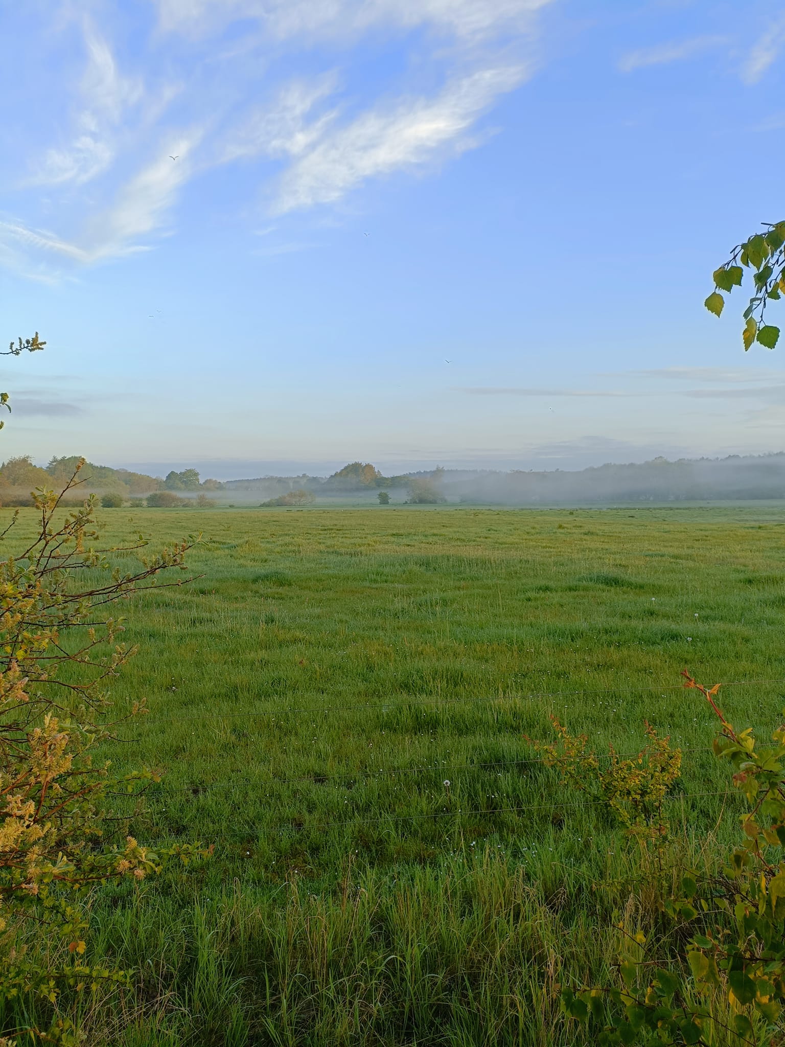 100 km i Vestskoven - d. 7. juni 2025. Et Ultraløb ved Herstedhøje